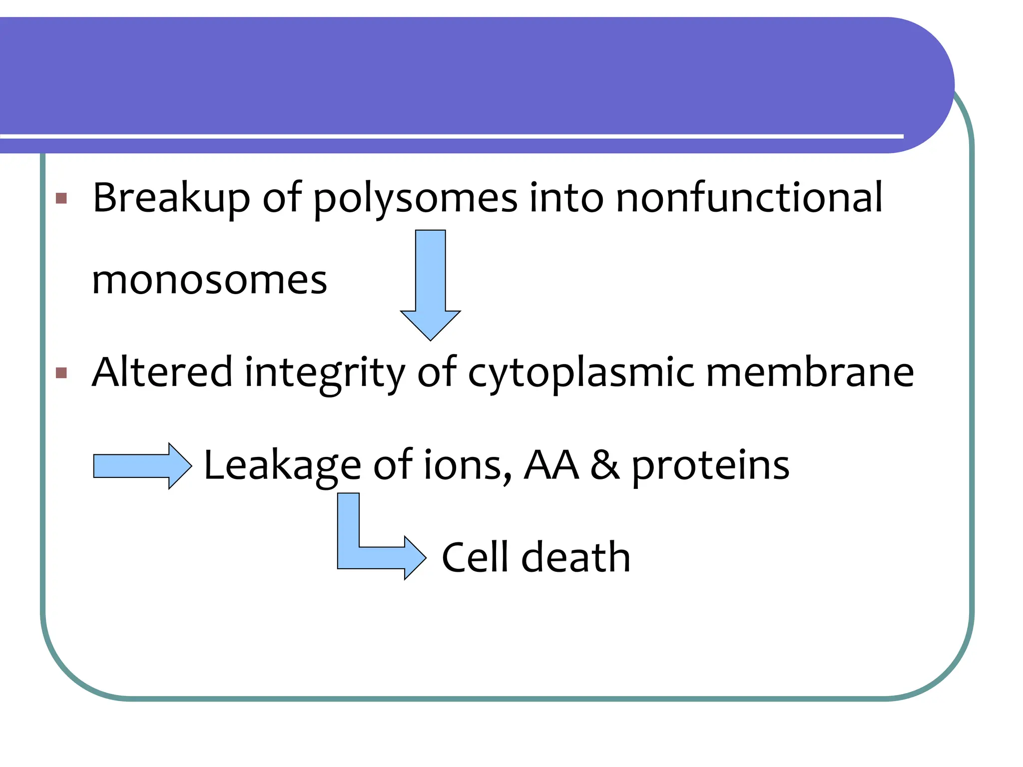 Aminoglycosides new.ppt | Pharmaceutical Drugs | Medical Health