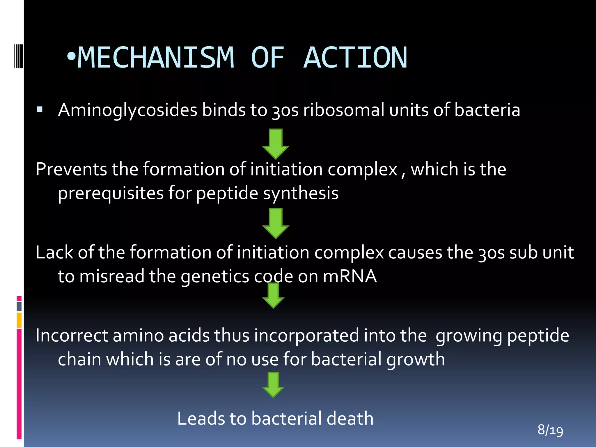 aminoglycosides PowerPoint Presentation.pptx