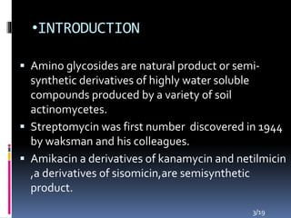 aminoglycosides PowerPoint Presentation.pptx