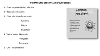 Aminoglycosidess antibiotics powerpoint presentation | PPT