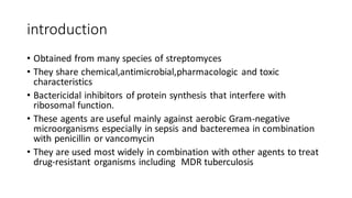 Amino glycosides and streptomycin pharmac | PDF