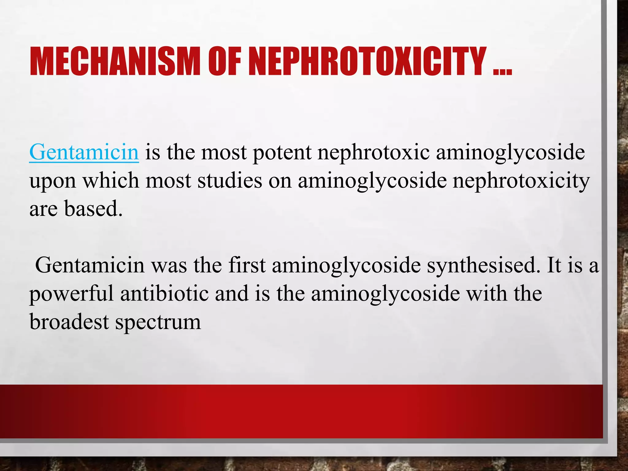 Aminoglycoside toxcity , aminoglycoside induce toxicity , gentamicin ...