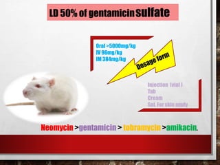 Aminoglycoside toxcity , aminoglycoside induce toxicity , gentamicin ...