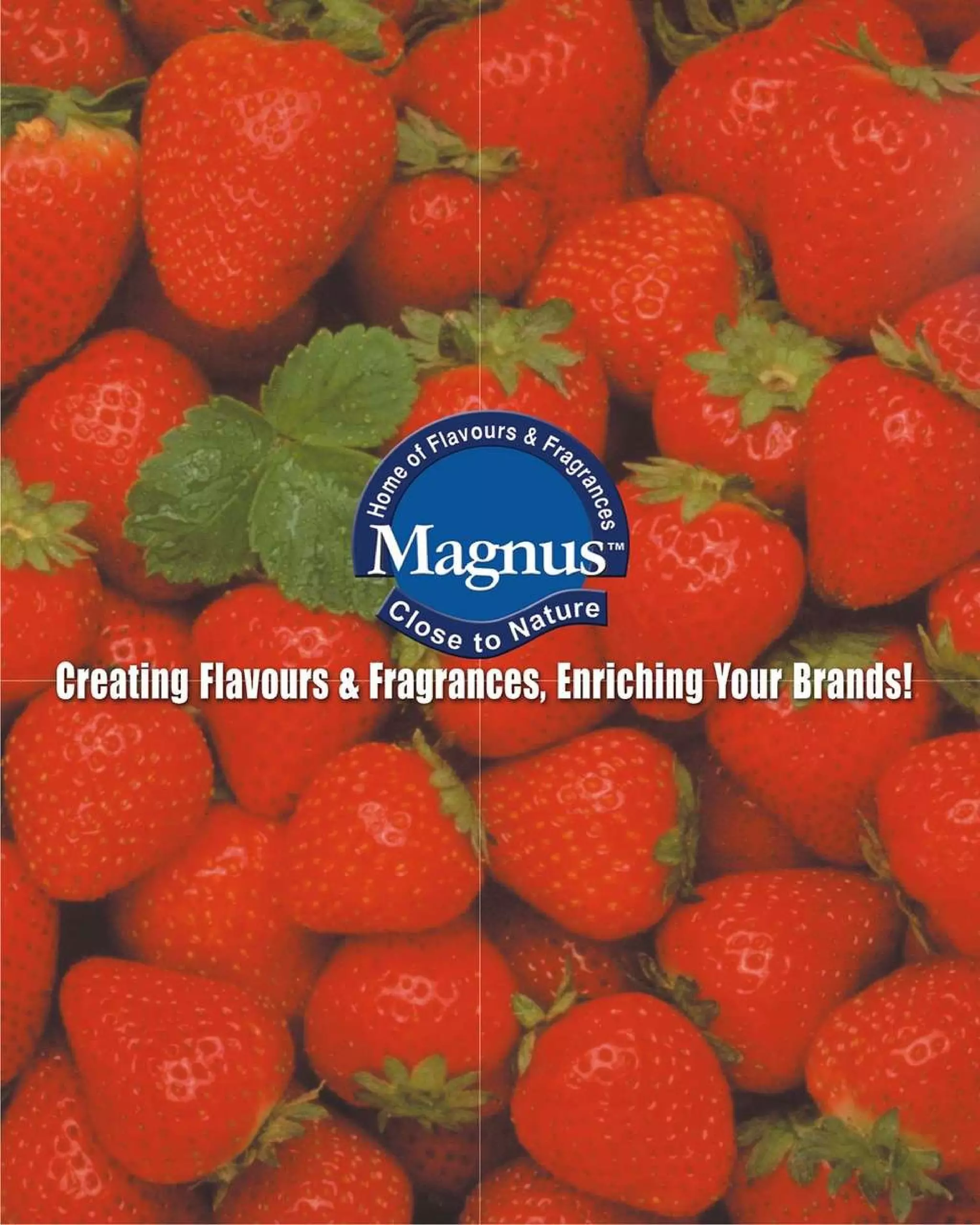 Am international - home of flavours & fragrances | PDF