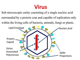 molecular mechanism of viral diseases and biotechnological ...