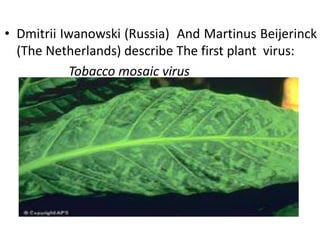 molecular mechanism of viral diseases and biotechnological ...