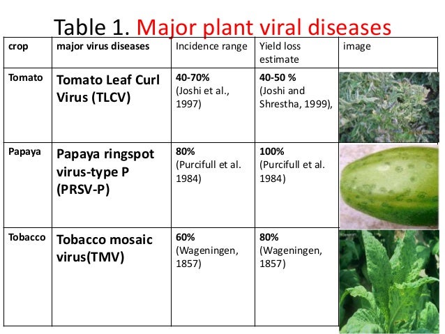 molecular mechanism of viral diseases and biotechnological interventi…
