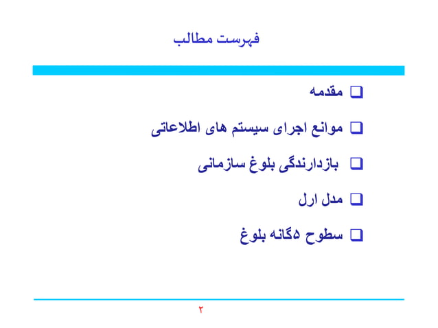 A mis maturity model earl