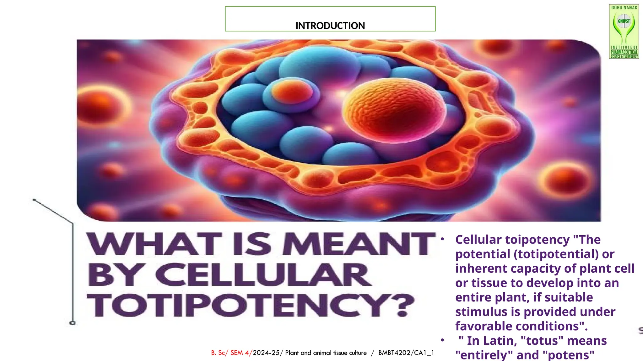 Cellular toti potency its process and applications | PPTX