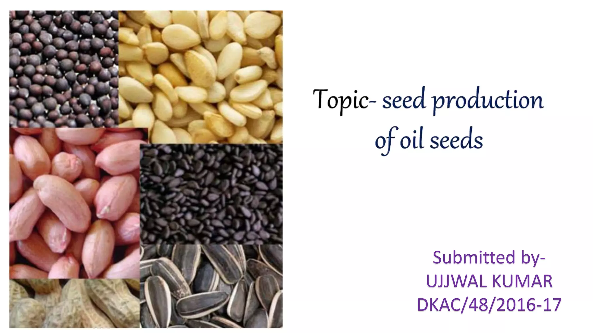 seed production of oil seeds | PPTX