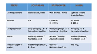 seed production of oil seeds | PPTX