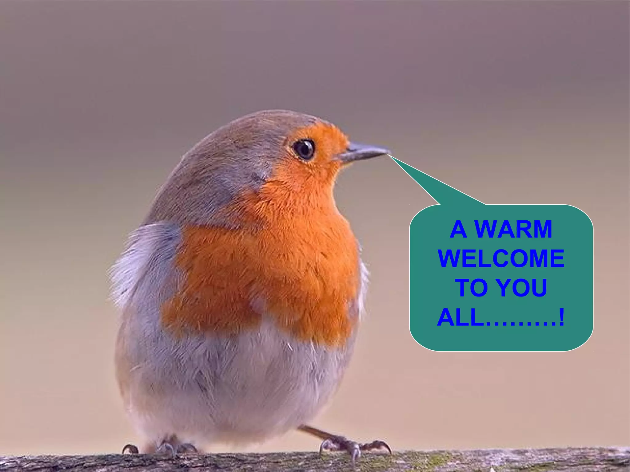 Amita add show on saloon | PPT