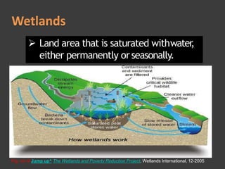 water storage ppt | PPTX