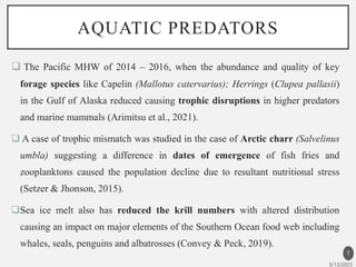 Ecological Impacts of climate change on Apex predators | PPT