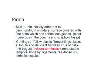 Anatomy of ear | PPT