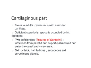 Anatomy of ear | PPT