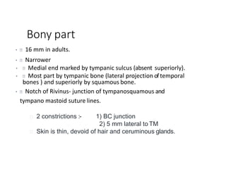 Anatomy of ear | PPT