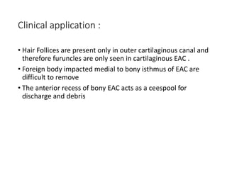 Anatomy of ear | PPT