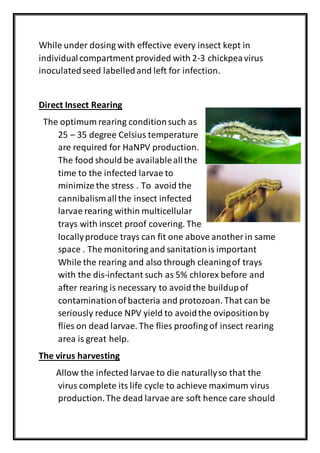 AMIT ent 422 HaNPV productin.docx