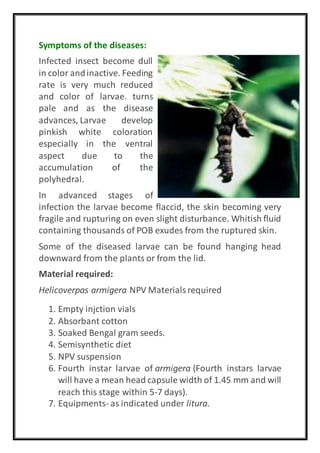 AMIT ent 422 HaNPV productin.docx