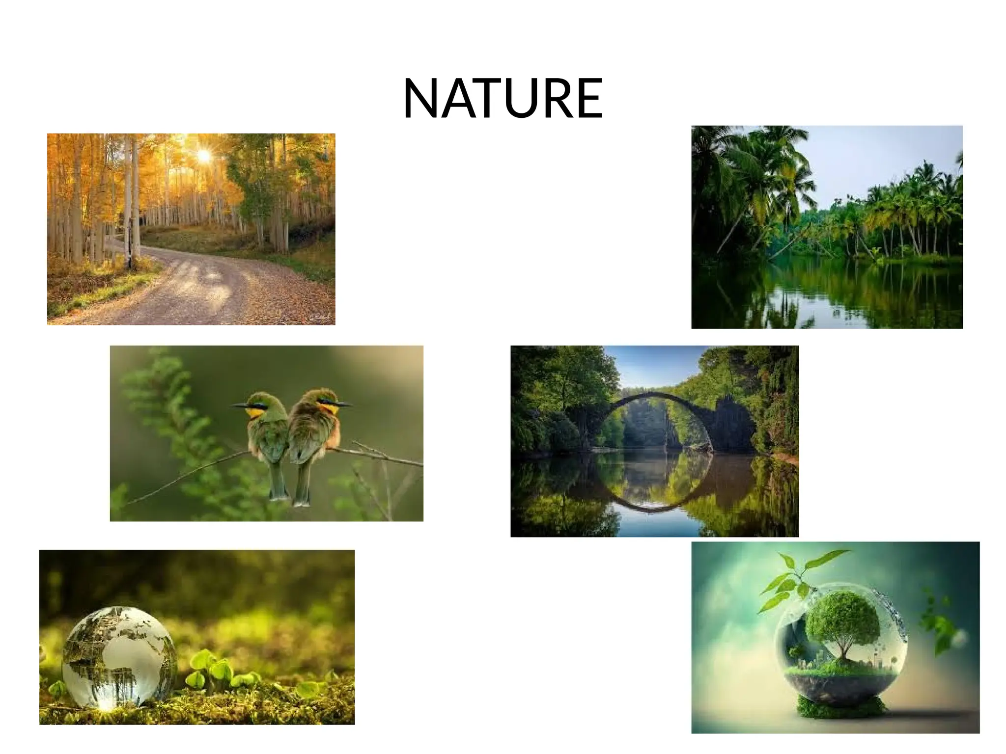 Ppt on Fundamental of Computer releted to PTU | PPTX