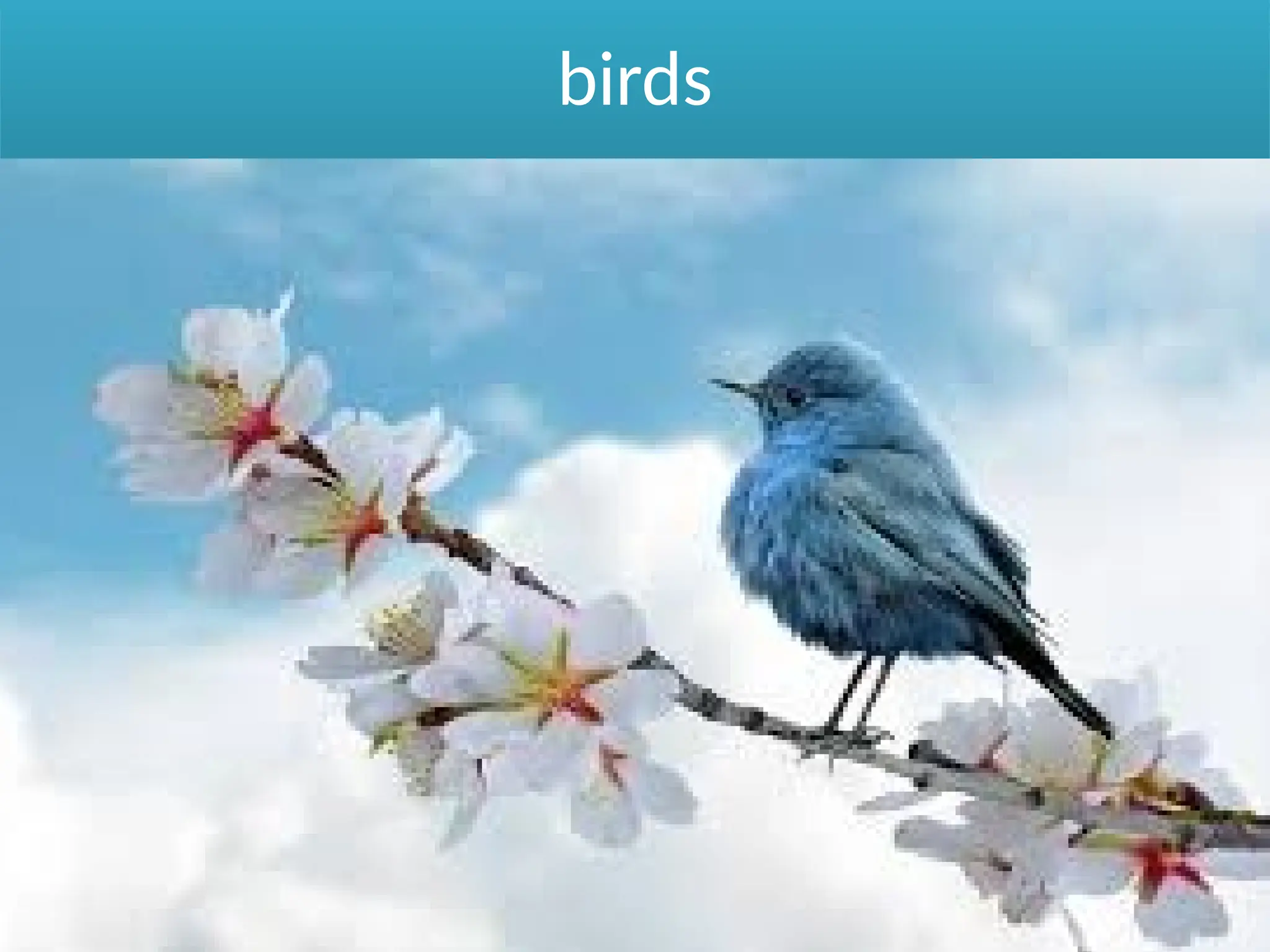 Ppt on Fundamental of Computer releted to PTU | PPTX