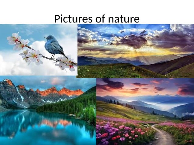 Ppt on Fundamental of Computer releted to PTU | PPTX