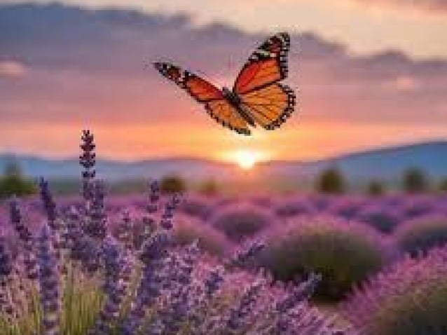 Ppt on Fundamental of Computer releted to PTU | PPTX