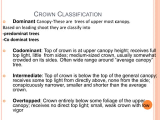 forest biometry | PPTX