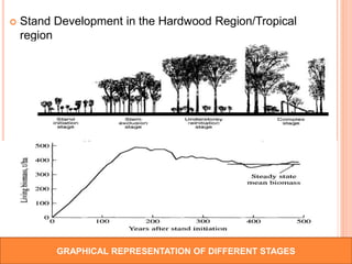 Forest Stand Development