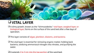 purification of water on large scale public health dentistry | PPTX