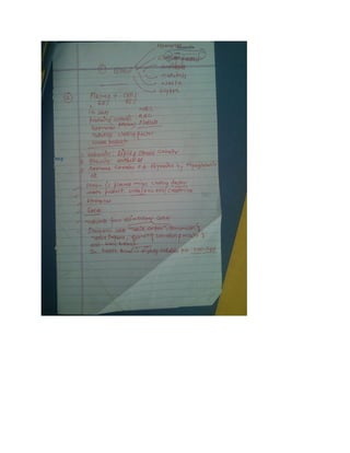 Pharmacy notes | PDF