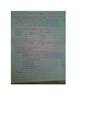 Pharmacy notes | DOC