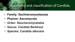 Presentation1.pptxPresentation1.pptxPresentation1.pptx