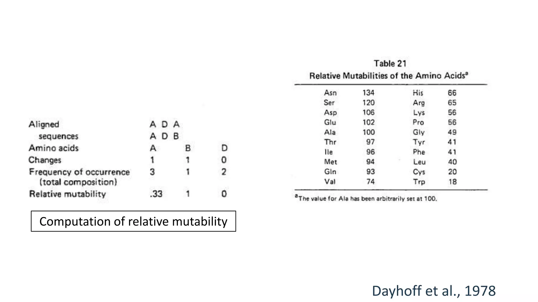 PAM : Point Accepted Mutation | PPTX