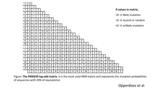 PAM : Point Accepted Mutation | PPTX