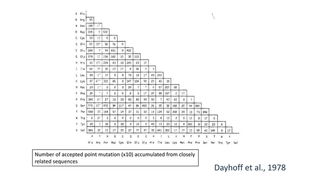 Pam Point Accepted Mutation Pptx 9920