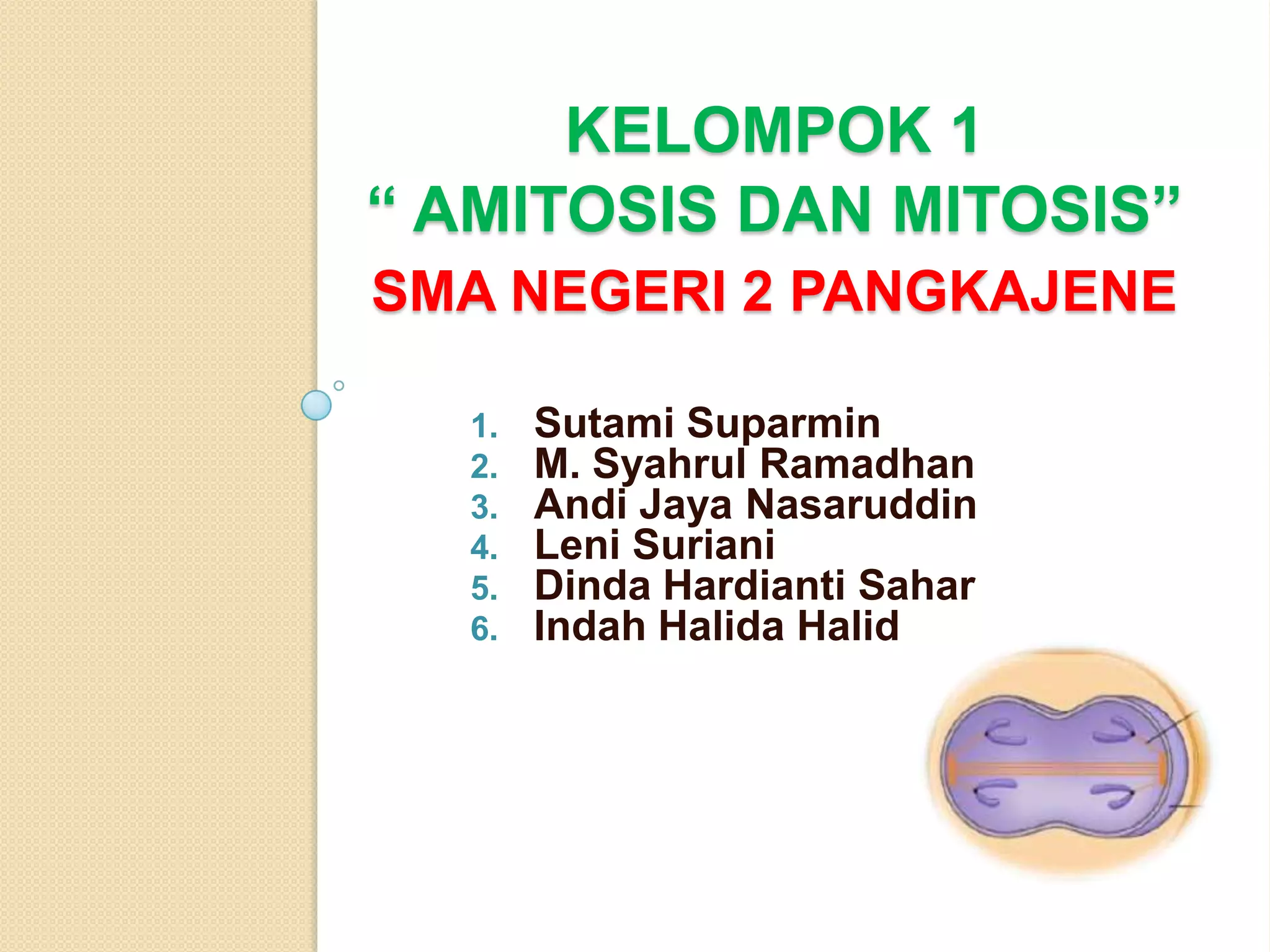 Amitosis dan Mitosis Cell Division | PPTX