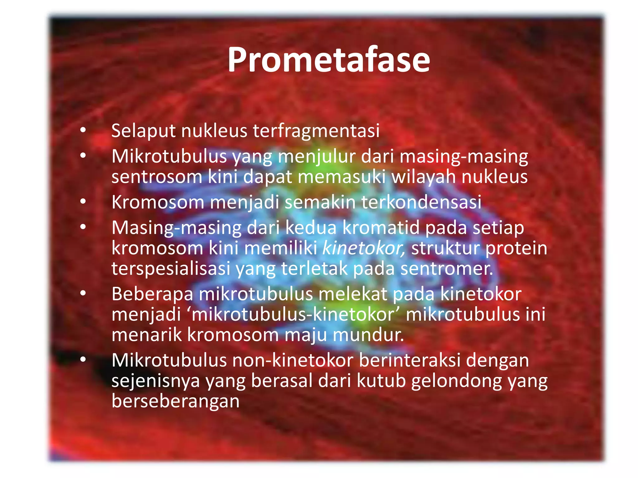 Amitosis dan Mitosis Cell Division | PPTX