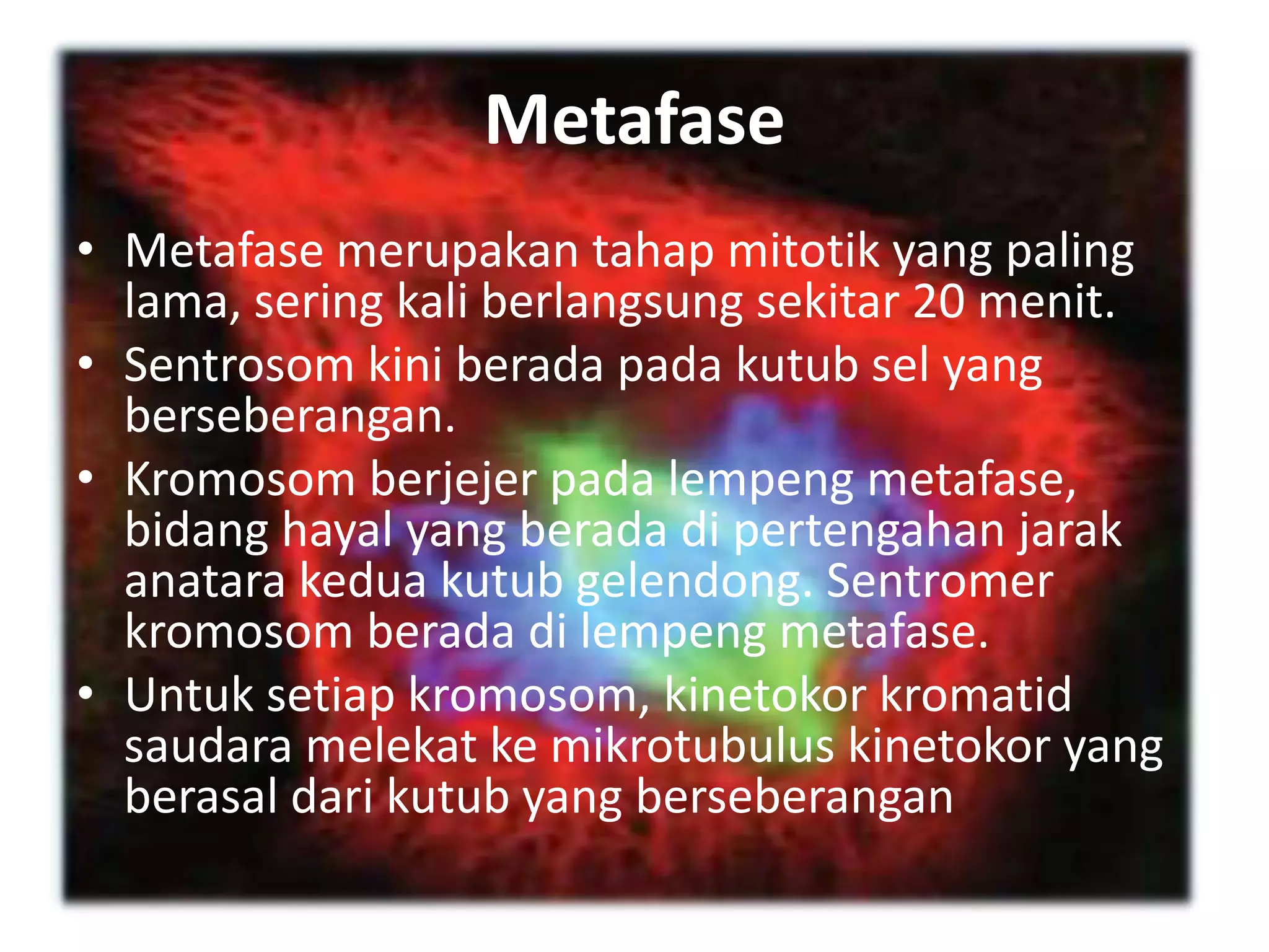 Amitosis dan Mitosis Cell Division | PPTX
