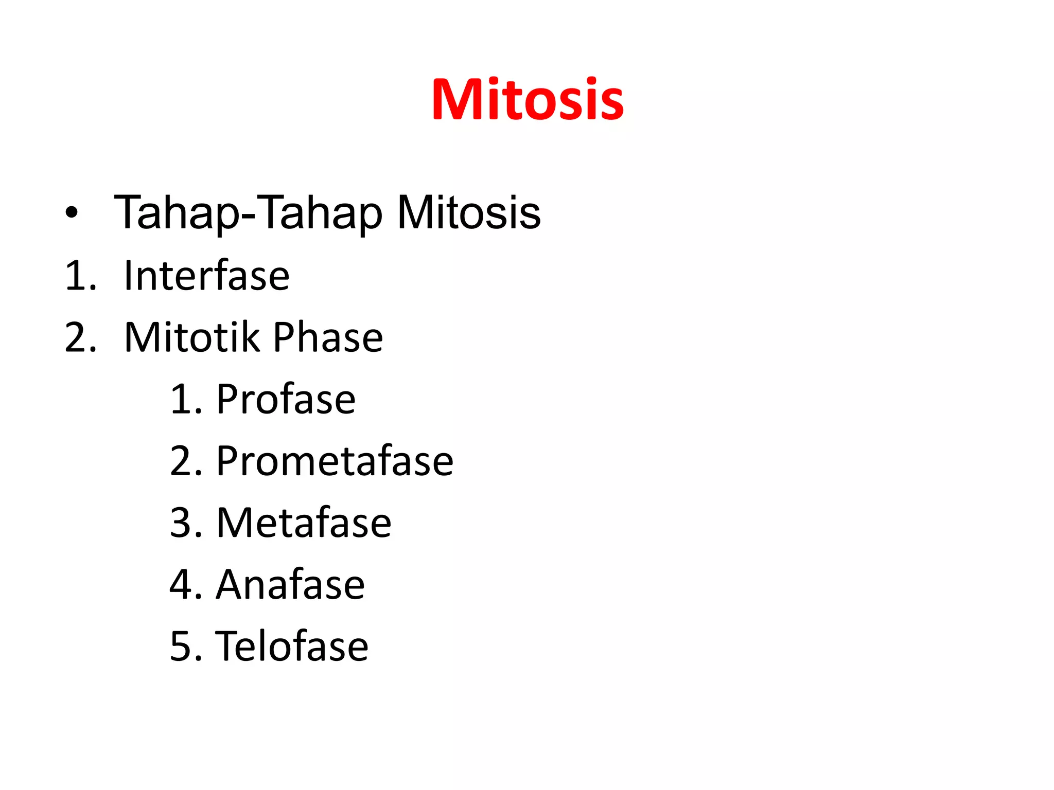 Amitosis dan Mitosis Cell Division | PPTX