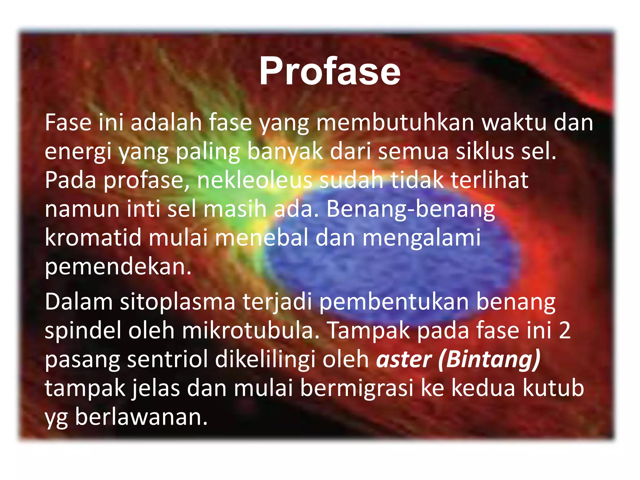 Amitosis dan Mitosis Cell Division | PPTX