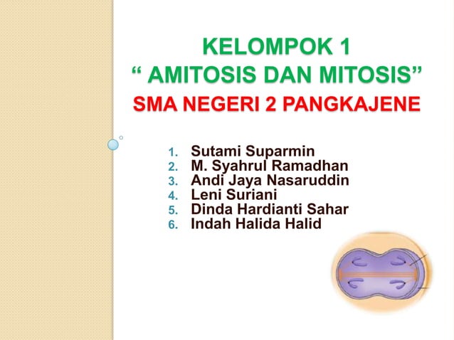 Amitosis dan Mitosis Cell Division | PPTX