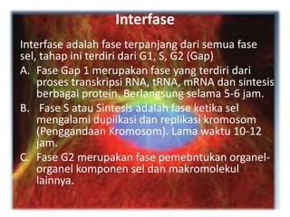 Amitosis dan Mitosis Cell Division | PPTX