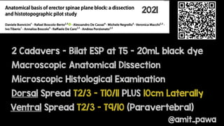 ESP block - future direction and remaining questions | PDF