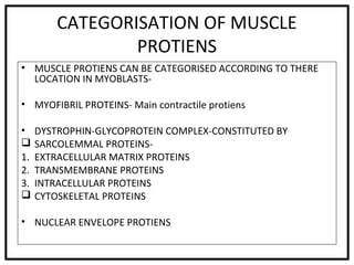 Muscle Protiens | PPT