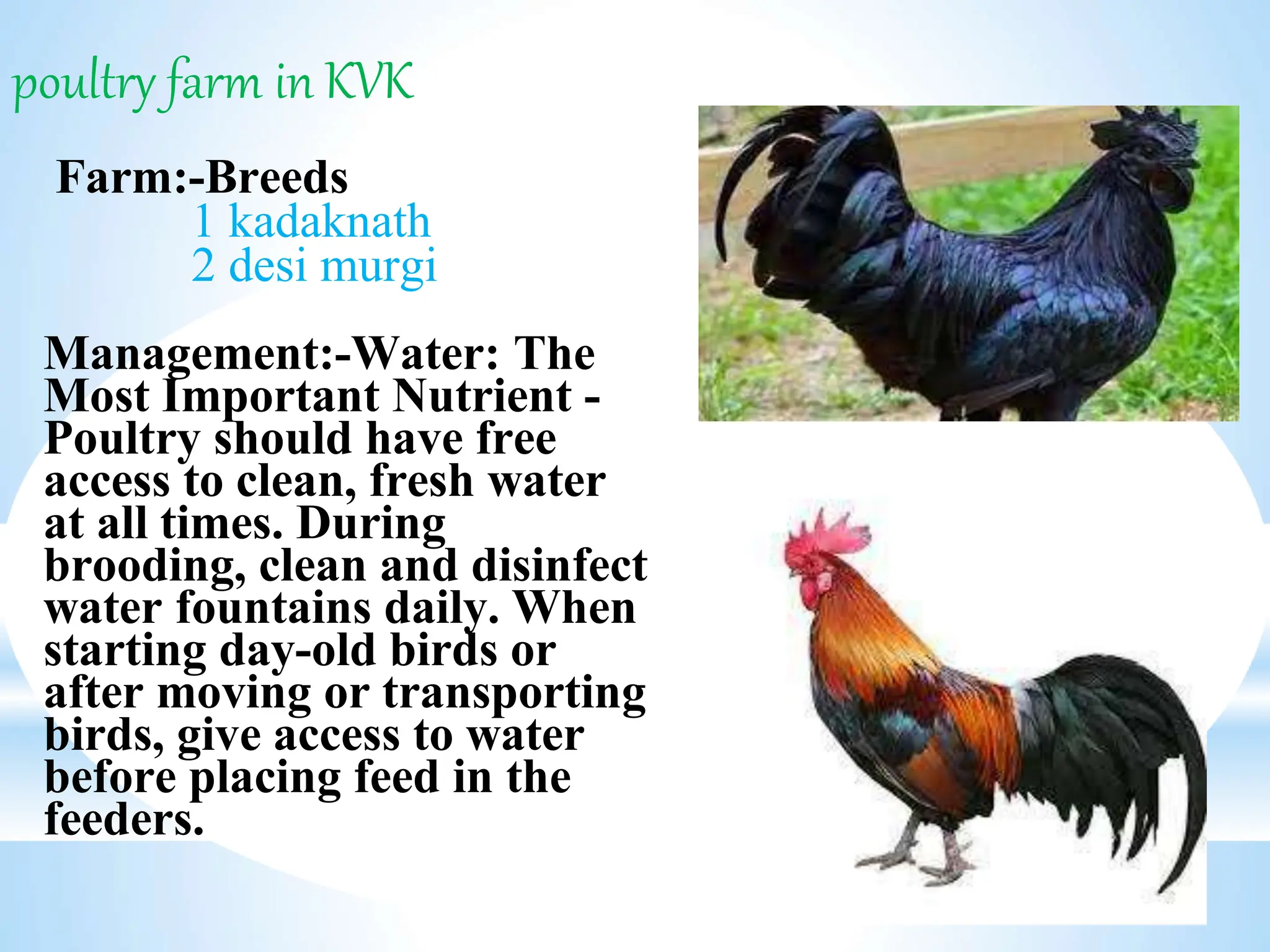 amit verma.pptx02.pptx