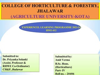 amit verma.pptx02.pptx