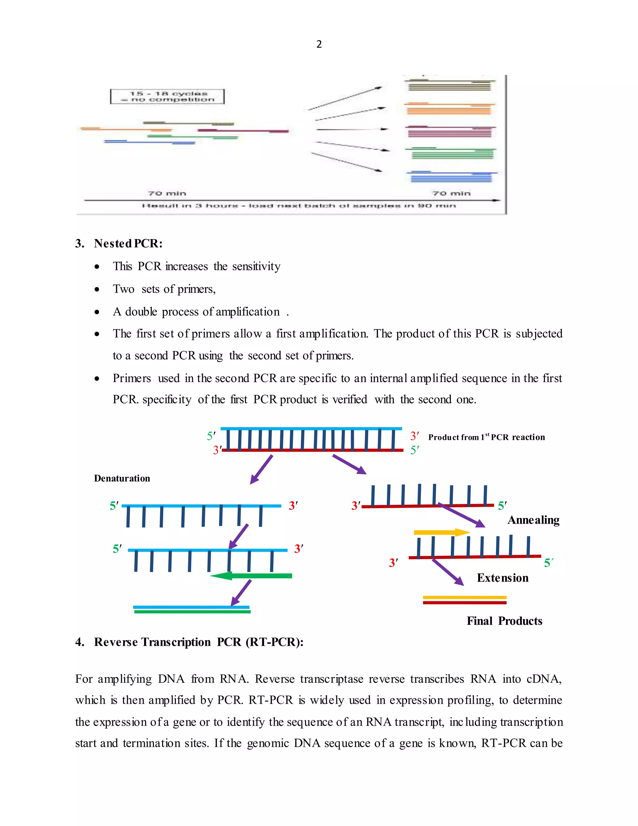 Types of PCR | DOCX