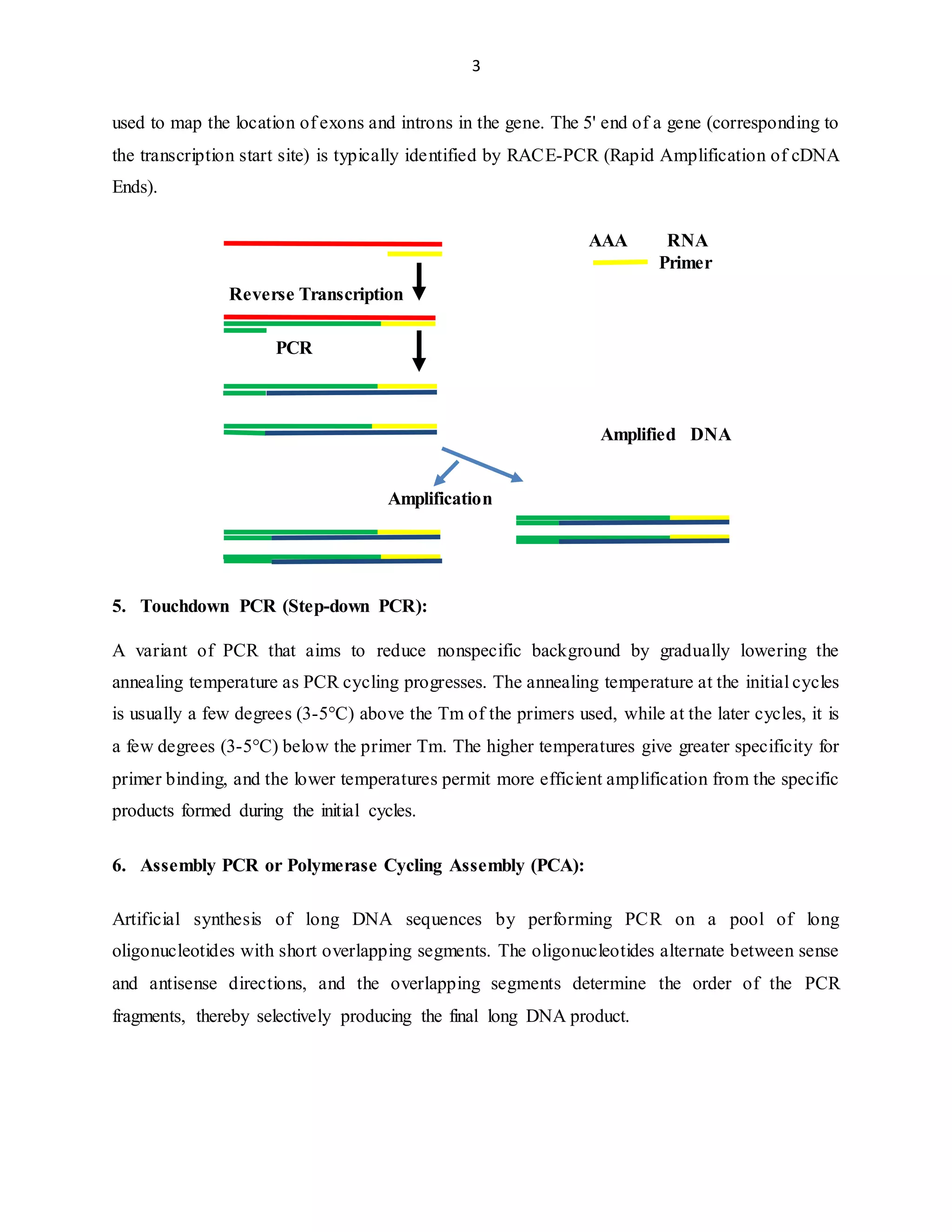 Types of PCR | DOCX